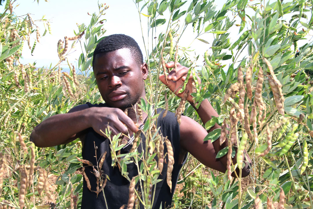Malawi - GOAL Global