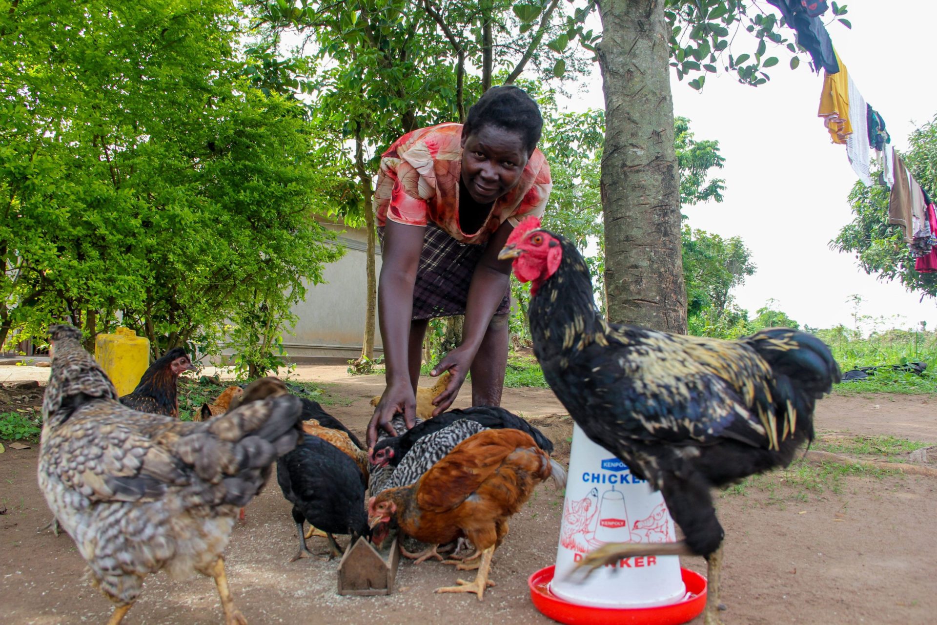 Uganda - GOAL Global