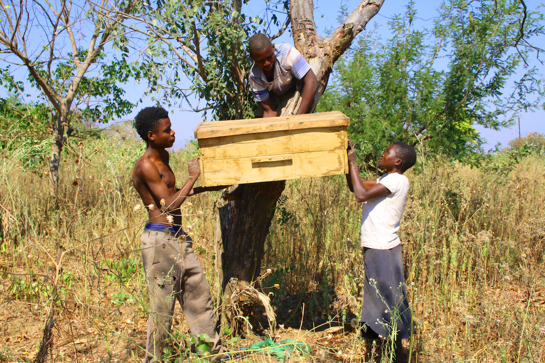 Malawi - GOAL Global