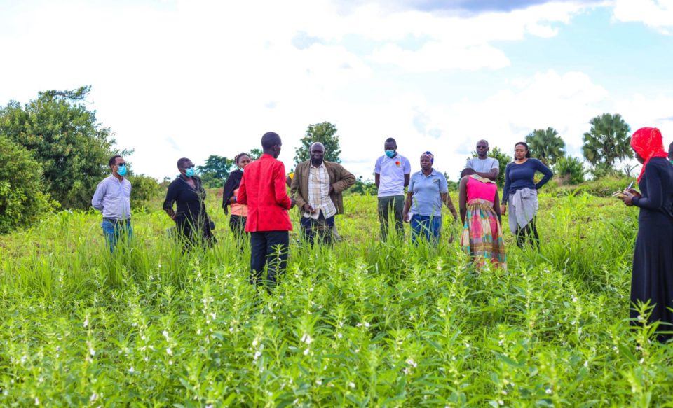 Uganda - GOAL Global