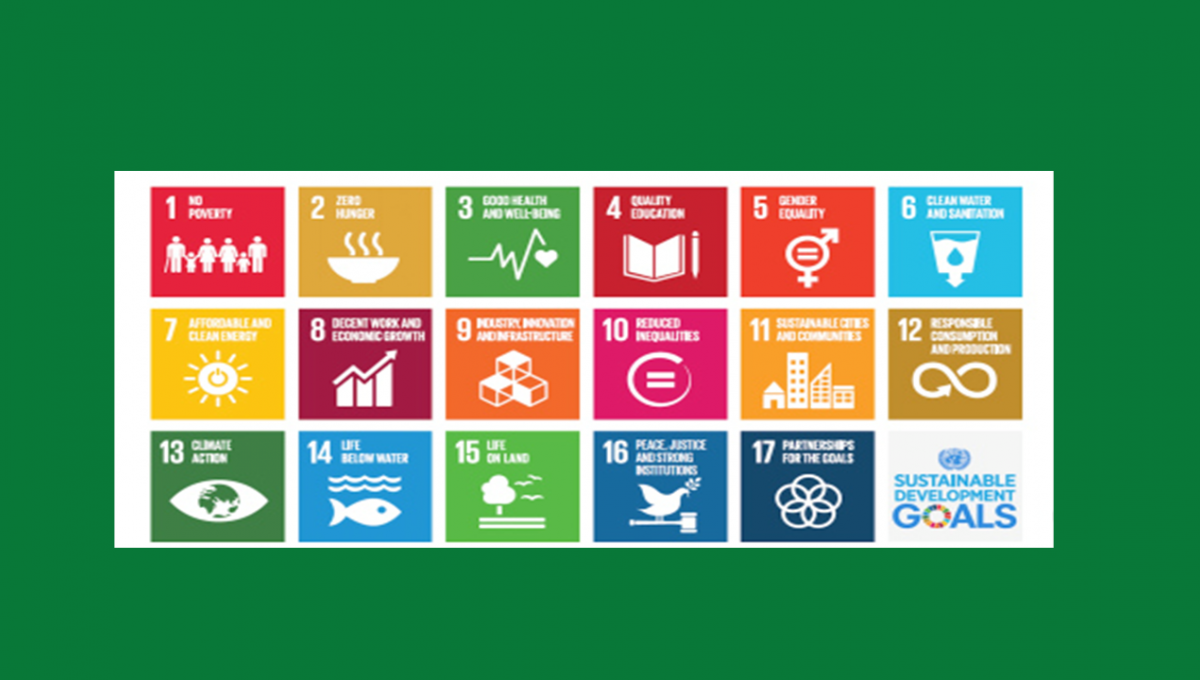 GOAL’s Global Citizenship Team and the SDGs - GOAL Global