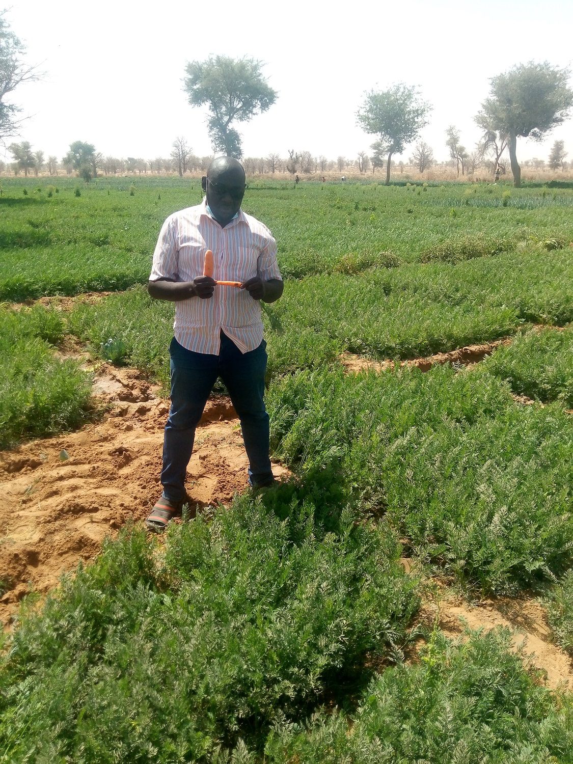 GOALie on the ground in Niger - GOAL Global