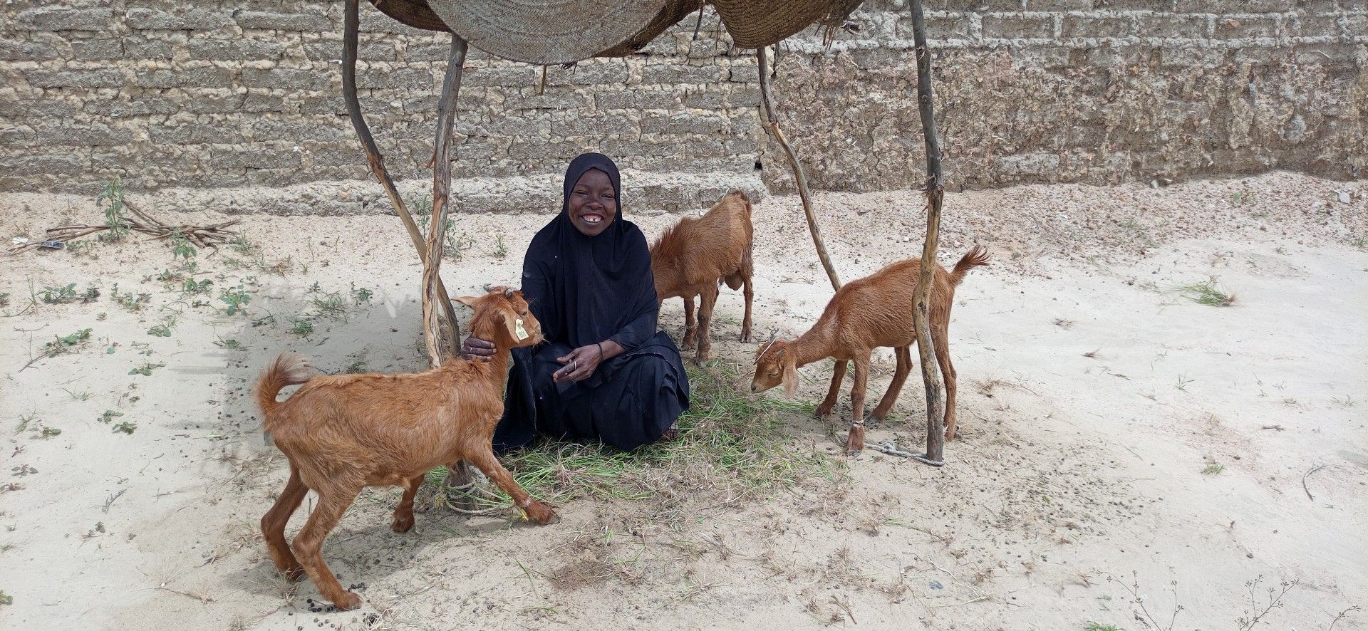 GOAL and UNITLIFE on a journey to empower communities to fight hunger