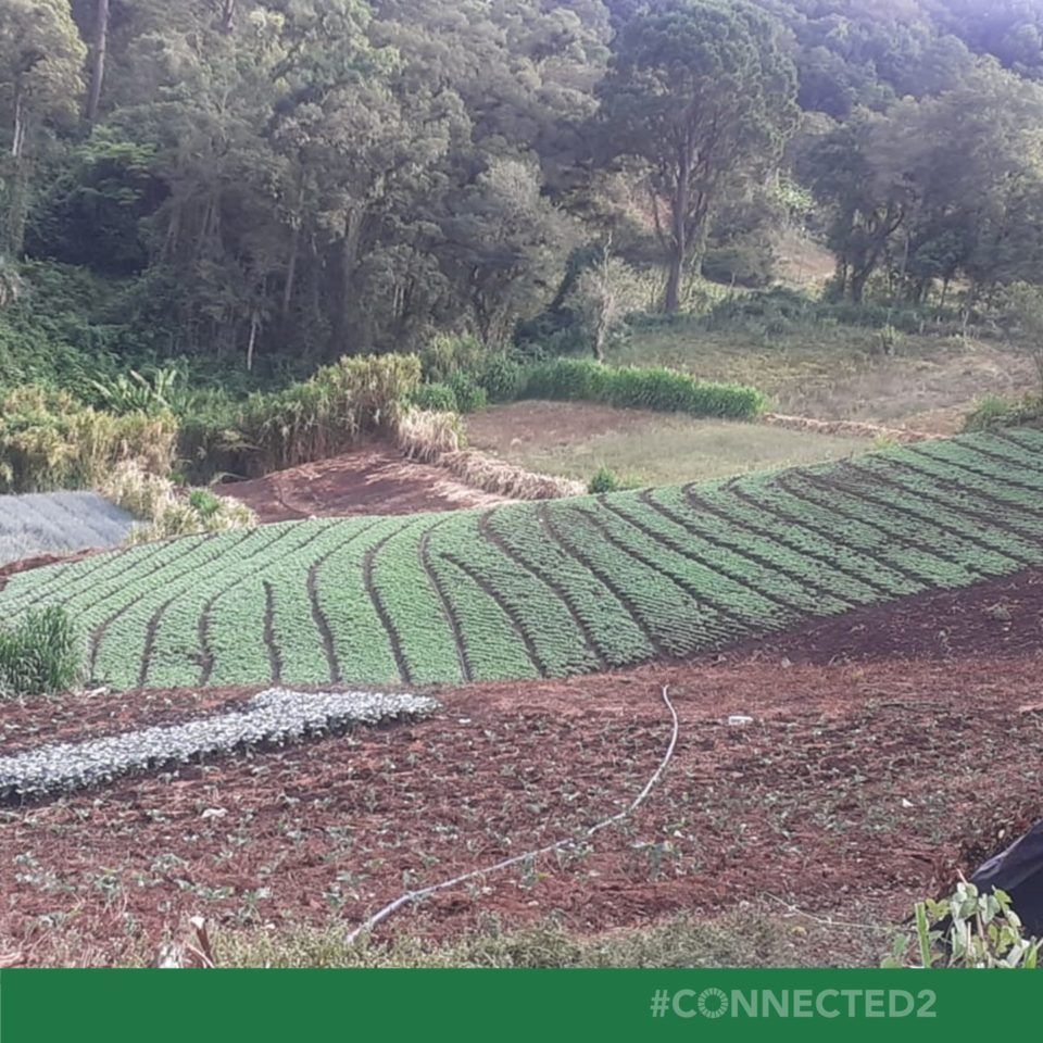 Photo Essay, Snap Shot 4 – Food systems and the land - GOAL Global