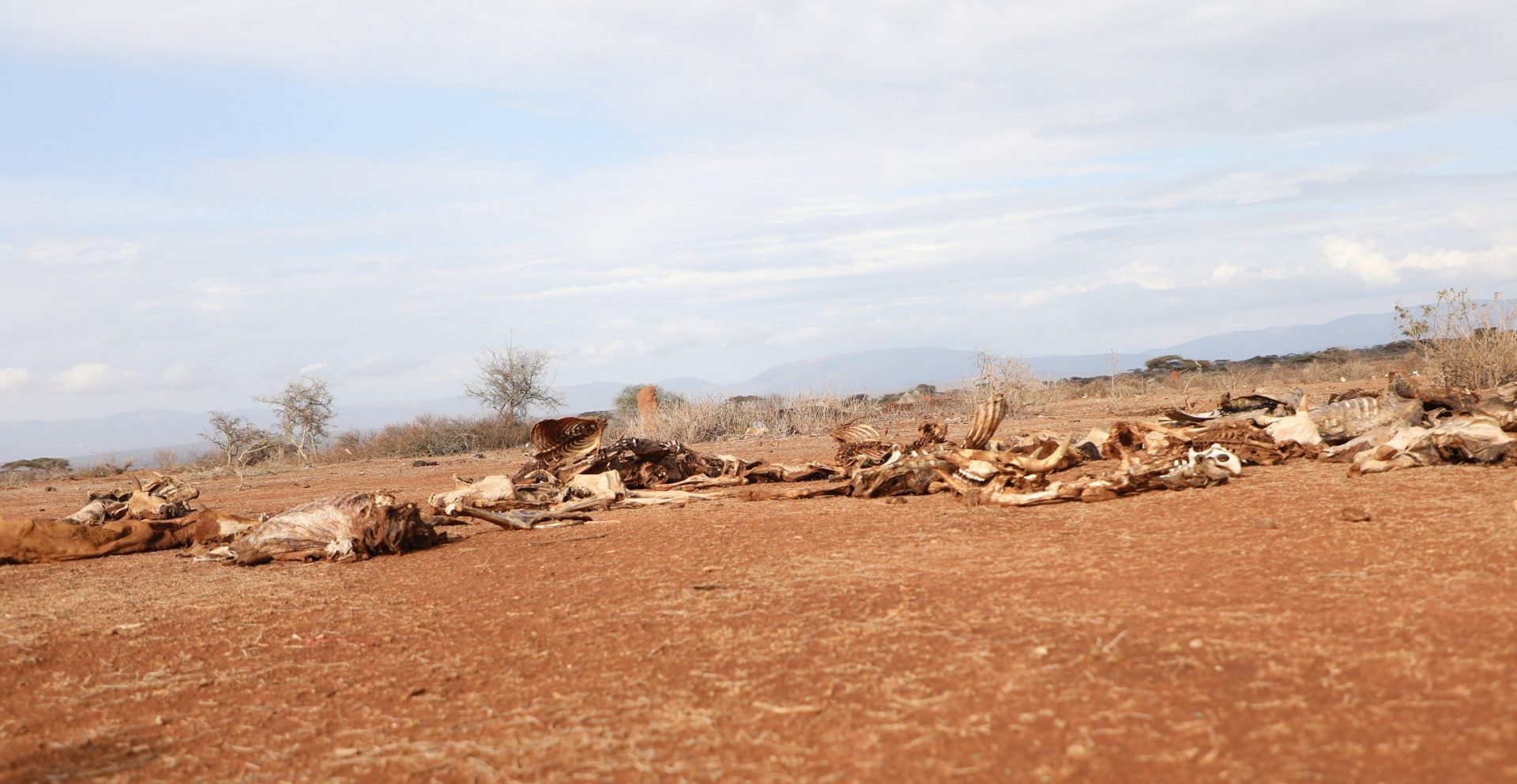 Horn of Africa Crisis – Irish Charities Come Together to Sound the ...