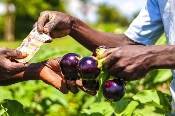 Uganda - GOAL Global