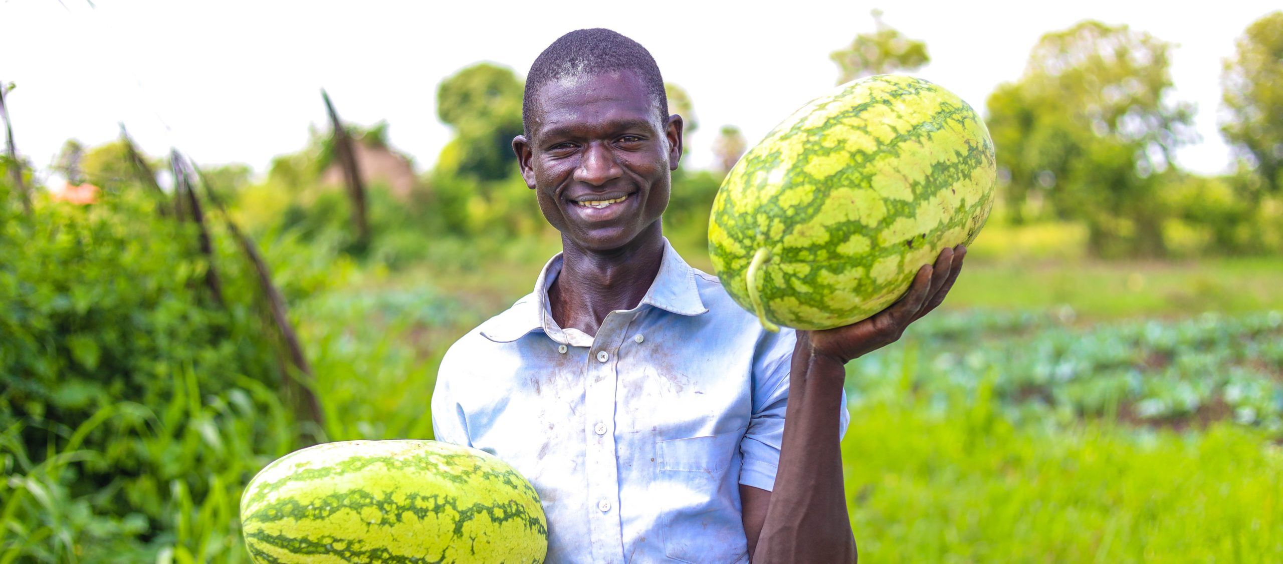 Model Farms Transforming Communities in Uganda - GOAL Global