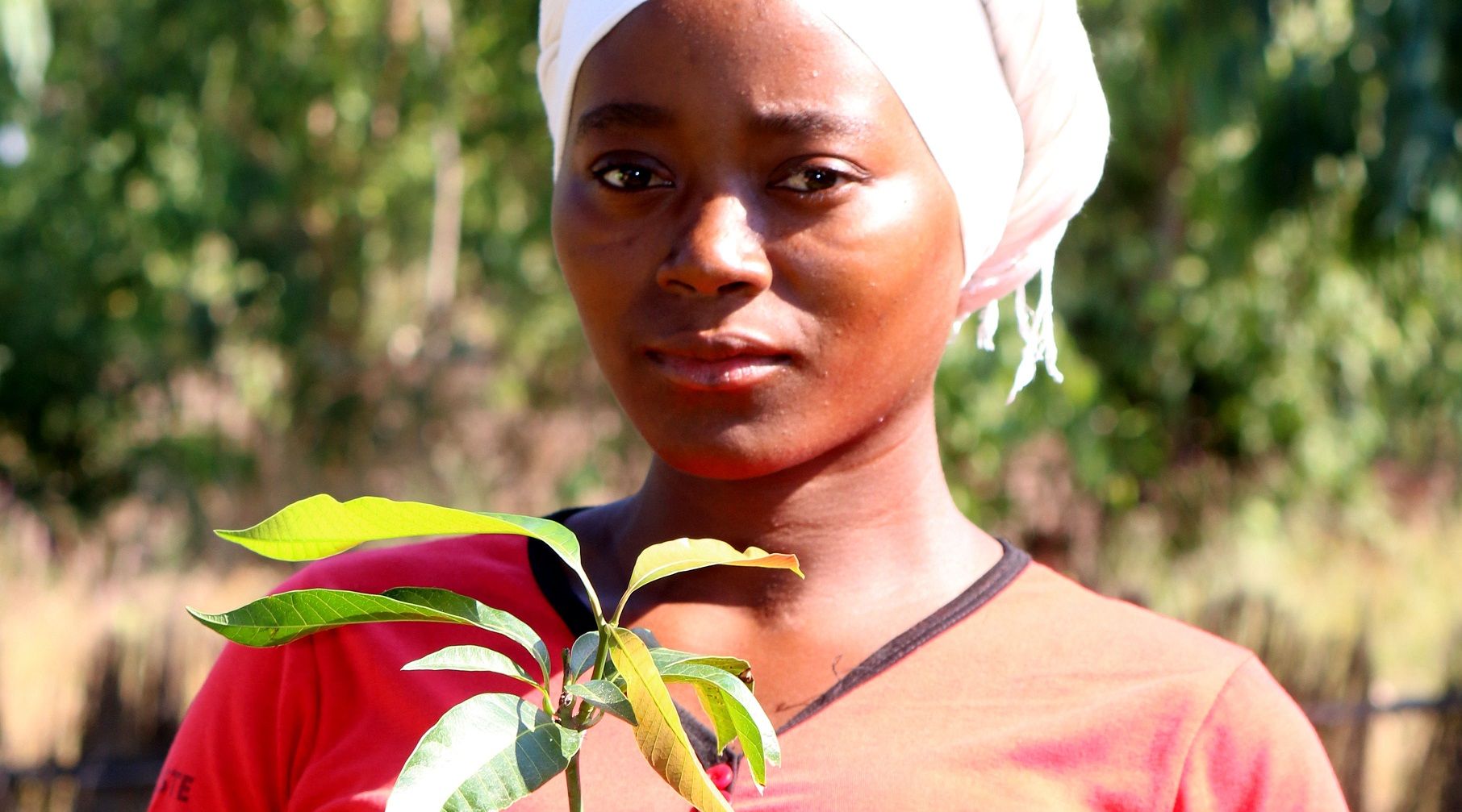 US Harvard Humanitarian Initiative (HHI) partners with GOAL on Crisis ...