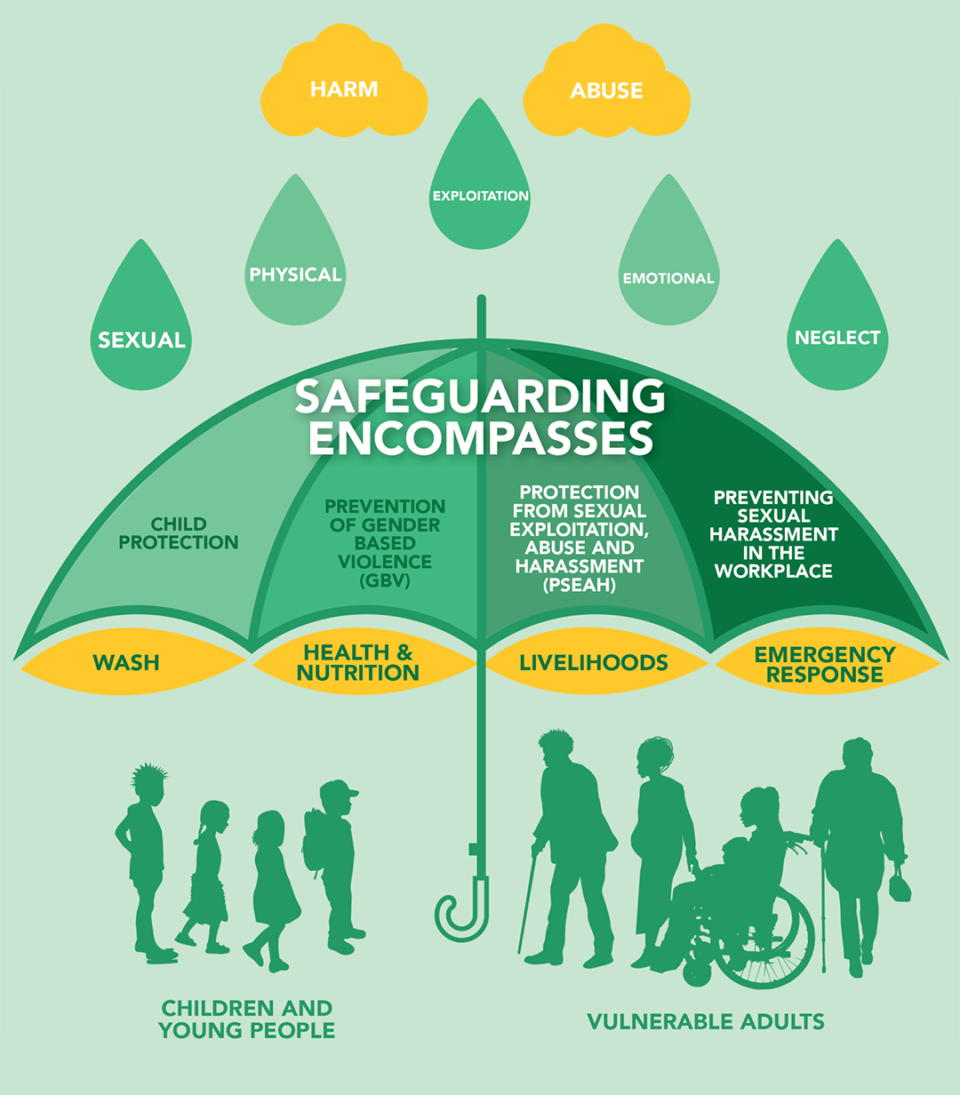 Safeguarding GOAL Global