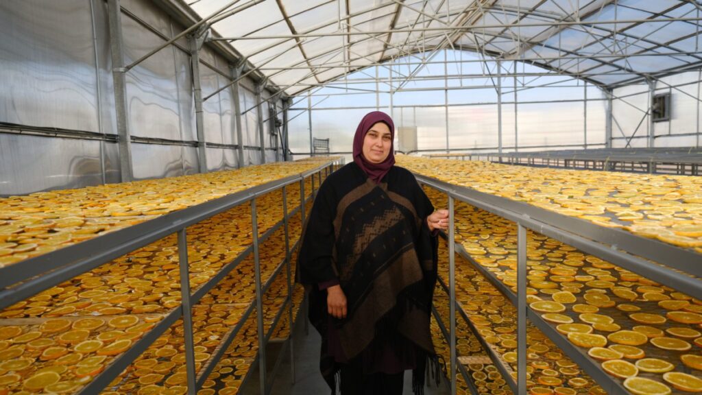 Rewriting Her Story in Türkiye: Safiye’s Journey - GOAL Global