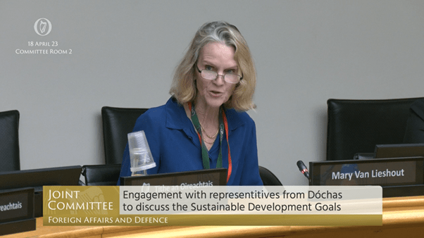 Presentation by Mary Van Lieshout, GOAL, to Irish Government Committee ...