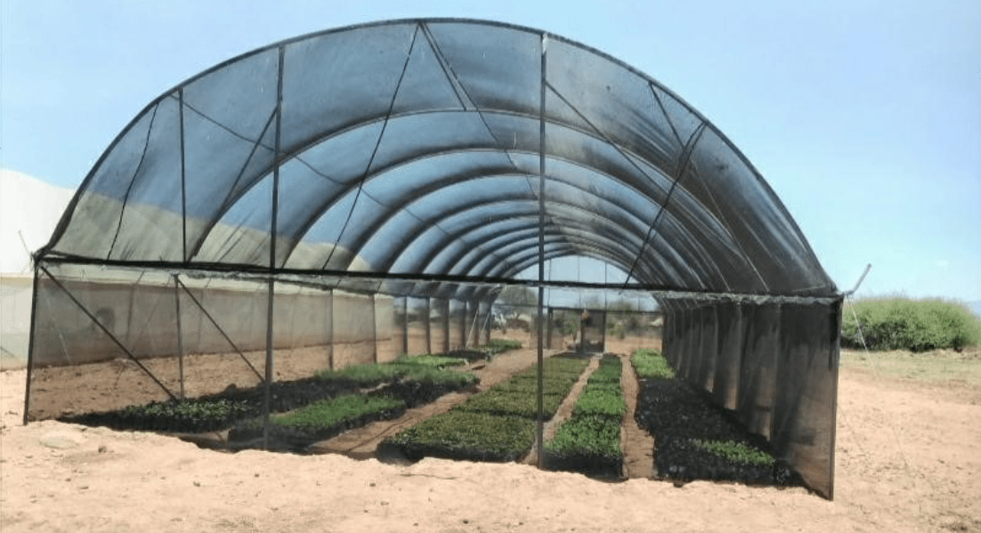Promoting Youth Empowerment through Agriculture in Uganda - GOAL Global