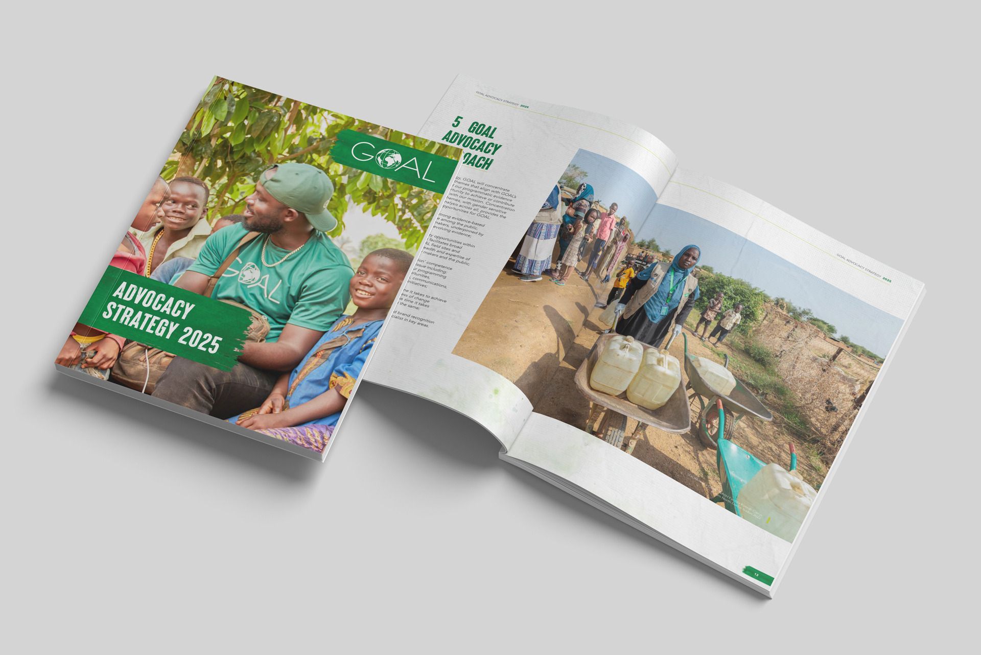 Advocacy Strategy - GOAL Global