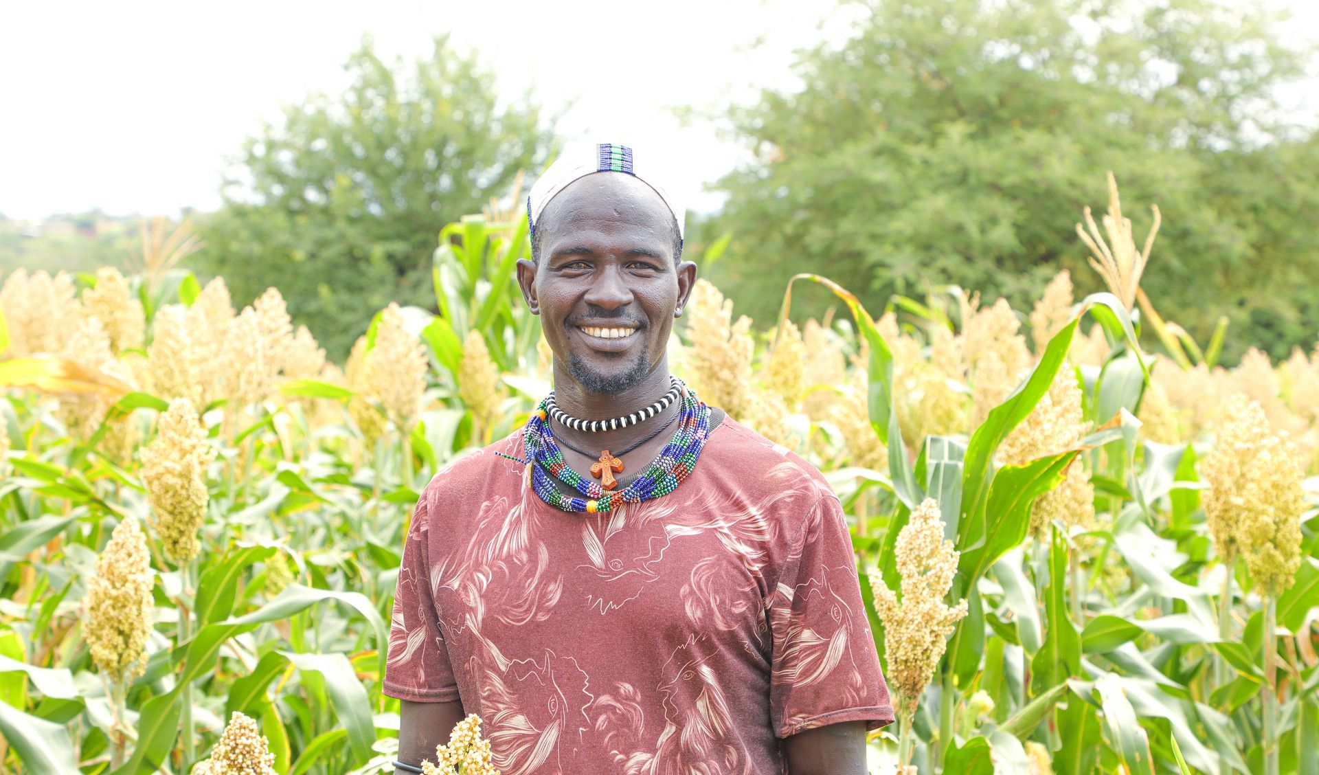 Introducing climate-adapted seeds to pastoral communities in Ethiopia ...