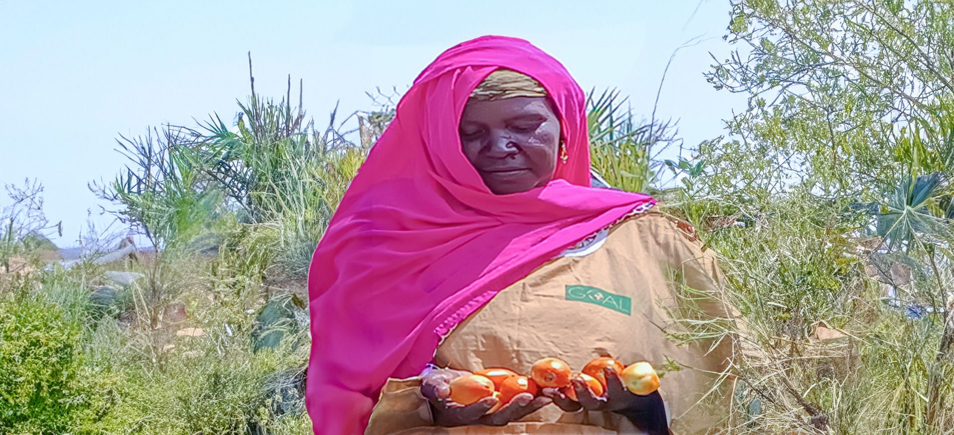 Irish Aid ICSP Programme Supporting GOAL's S4Nut Approach in Niger - GOAL Global